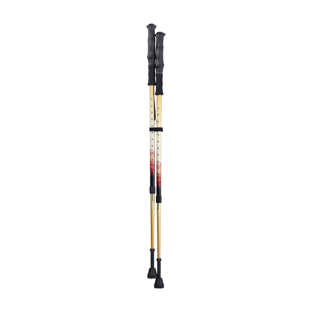 Hurrycane The Cane That Stands On Its Own Hurryworks Llc Hurryworks Llc Old